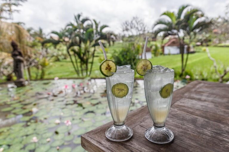 Alcohol In Bali | FINNS Beach Club