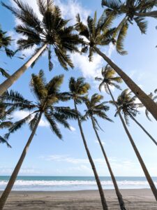 30 Best Beaches In Bali: Stunning Sunsets, Surfing, and Swimming ...