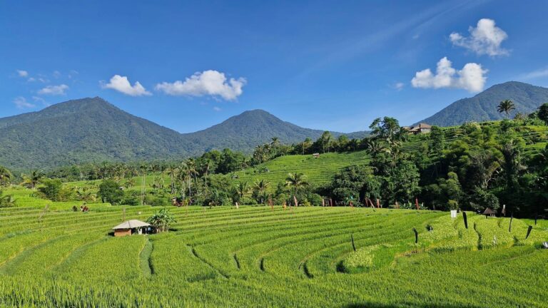 The Rich History of Bali: From Ancient Traditions to Modern Culture
