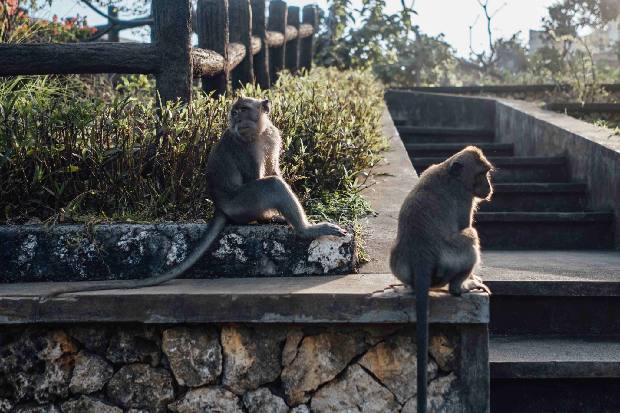 The Complete Guide To Uluwatu Temple: Everything You Need To Know When ...
