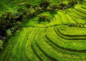 Sustainable Travel Bali: Your Guide To Responsible Tourism