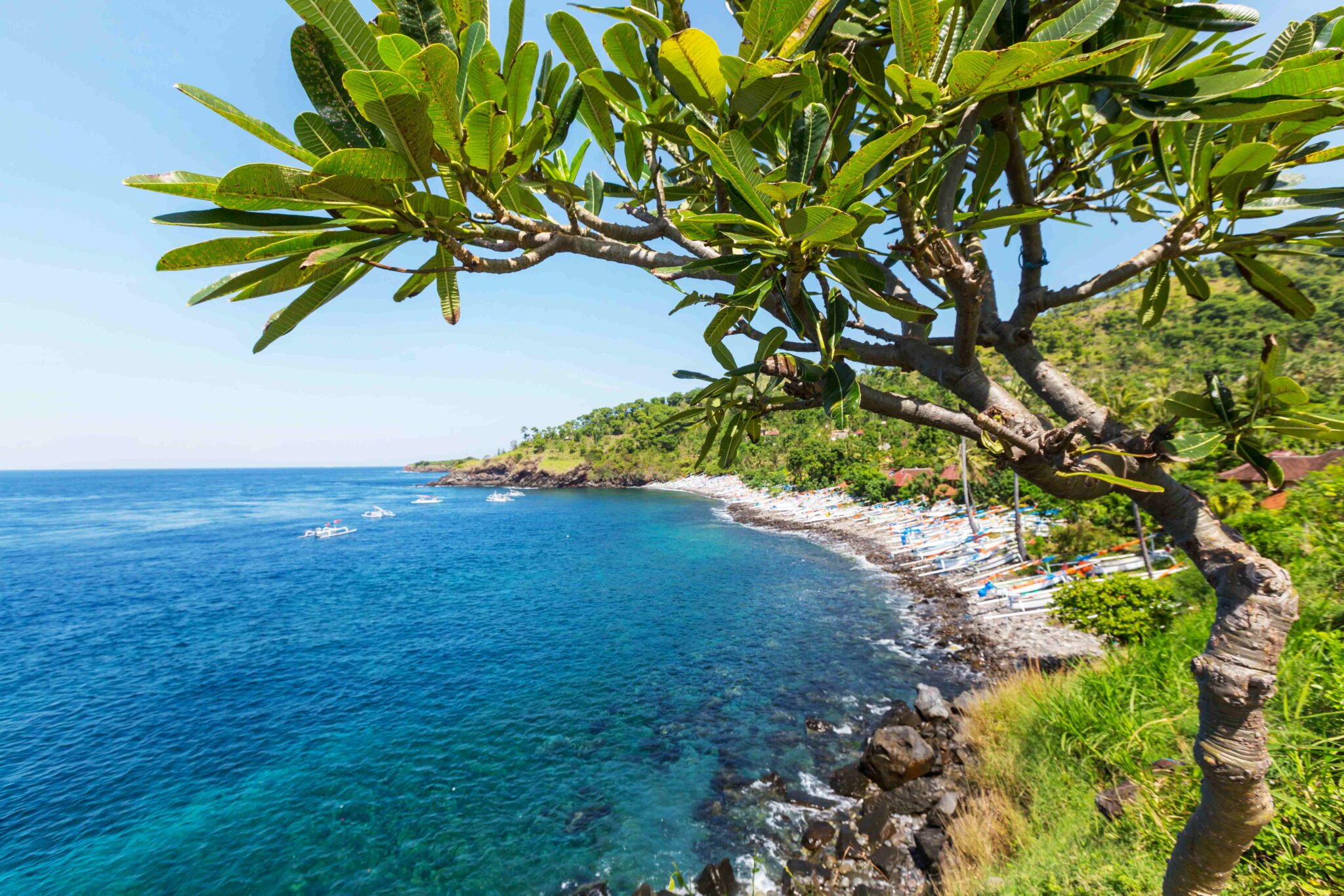 Fishing In Bali: The Ultimate Guide To Indonesia's Best Fishing