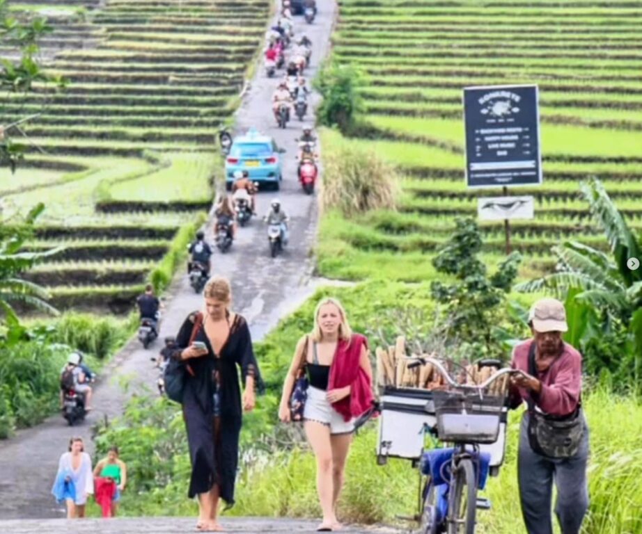 Your Guide To The Canggu Shortcut: Saving Time On Your Way To Seminyak