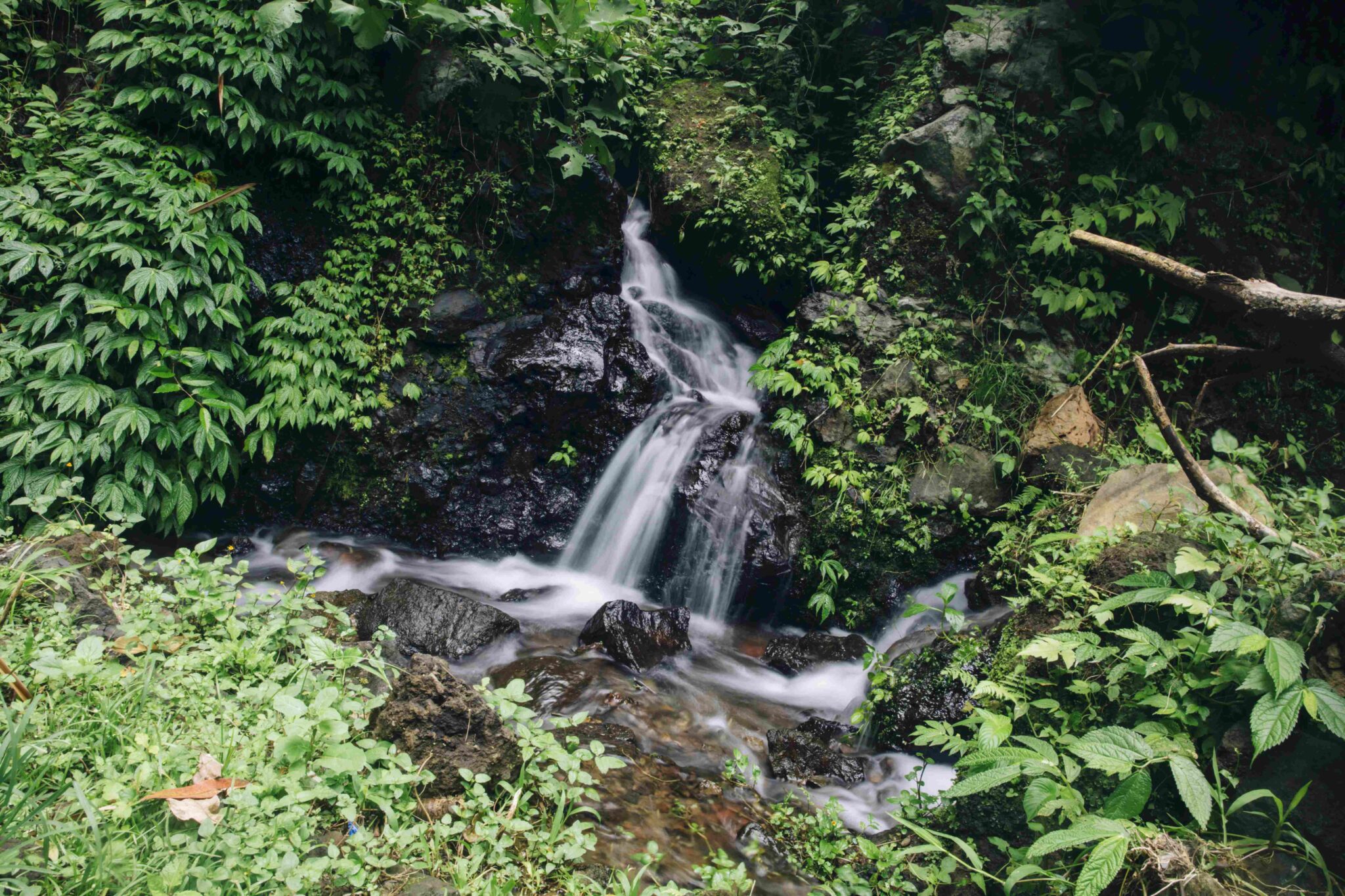 Gitgit Waterfall: A Complete Guide To Help You Visit Gitgit Waterfall