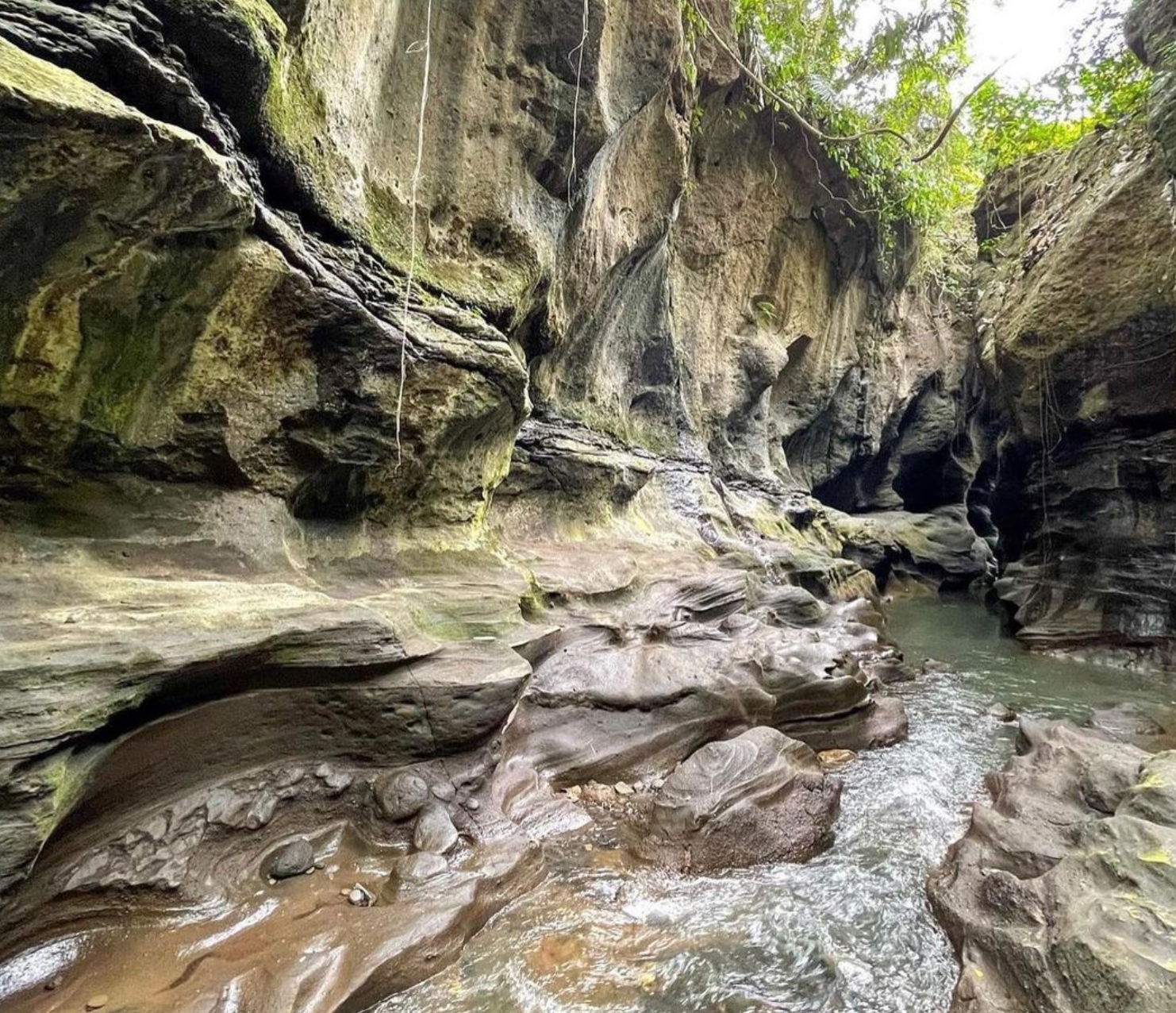 Gianyar Regency, Bali: Your Guide To Bali's Cultural Heartland