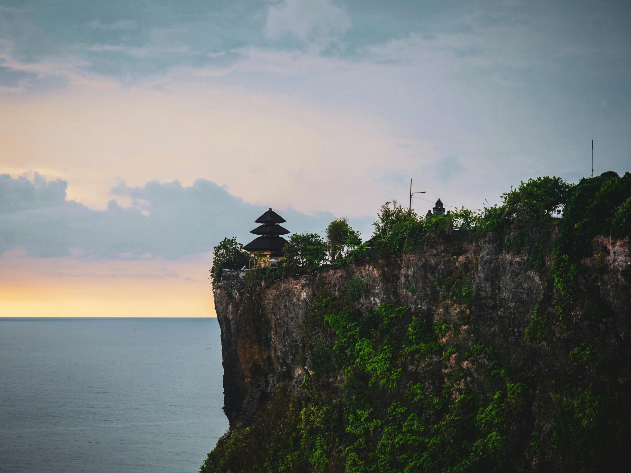 Monkeys In Bali: Where To Meet Them, How To Treat Them, & More