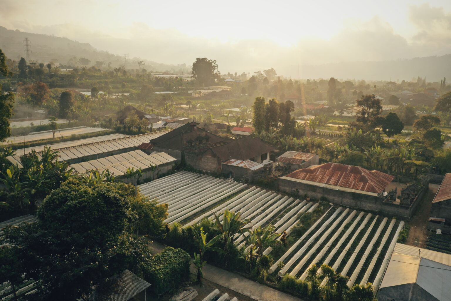 Singaraja: Your Ultimate Guide To Bali's Second City