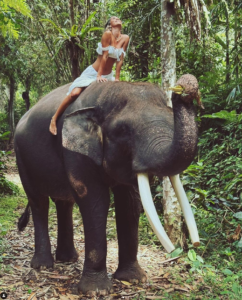 Bali Elephant Rides & Sanctuary: Your Ethical Guide To Elephants in Bali
