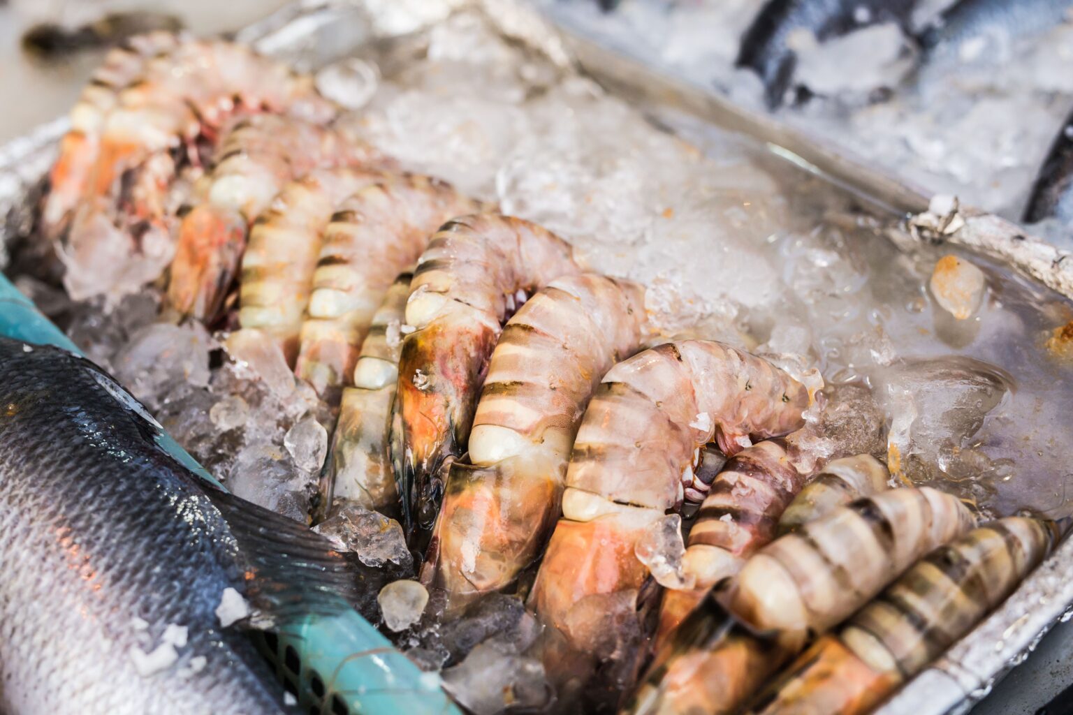 Jimbaran Fish Market: Your Ultimate Guide To Kedongnan Market