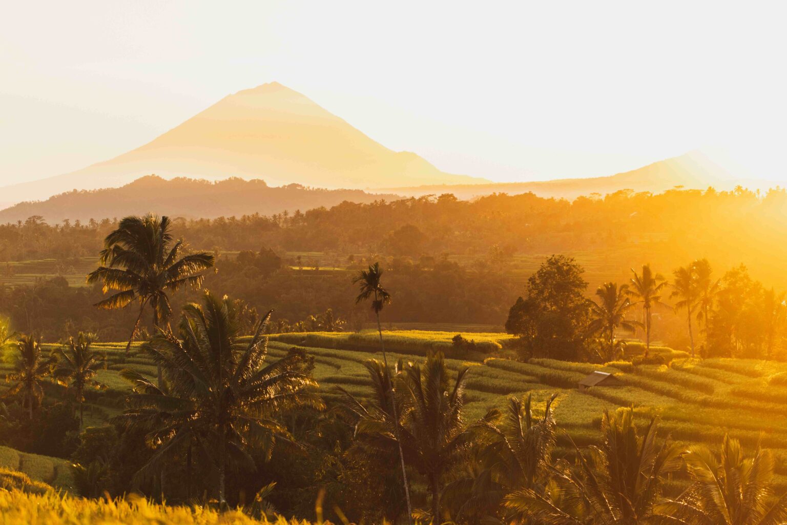 The Ultimate Guide To Bedugul: The Highlands Of North Bali