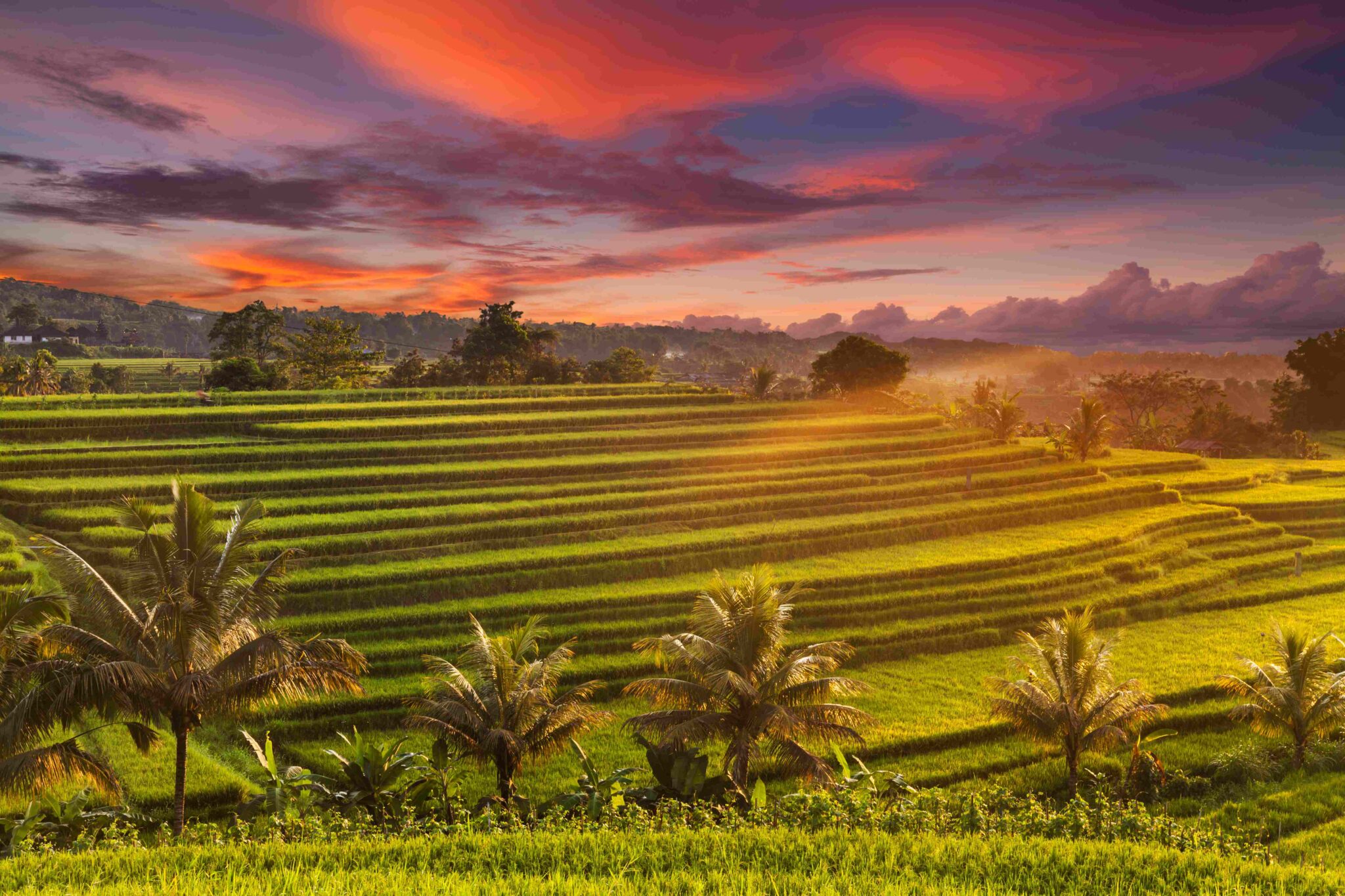 The Best Places To See A Bali Sunrise