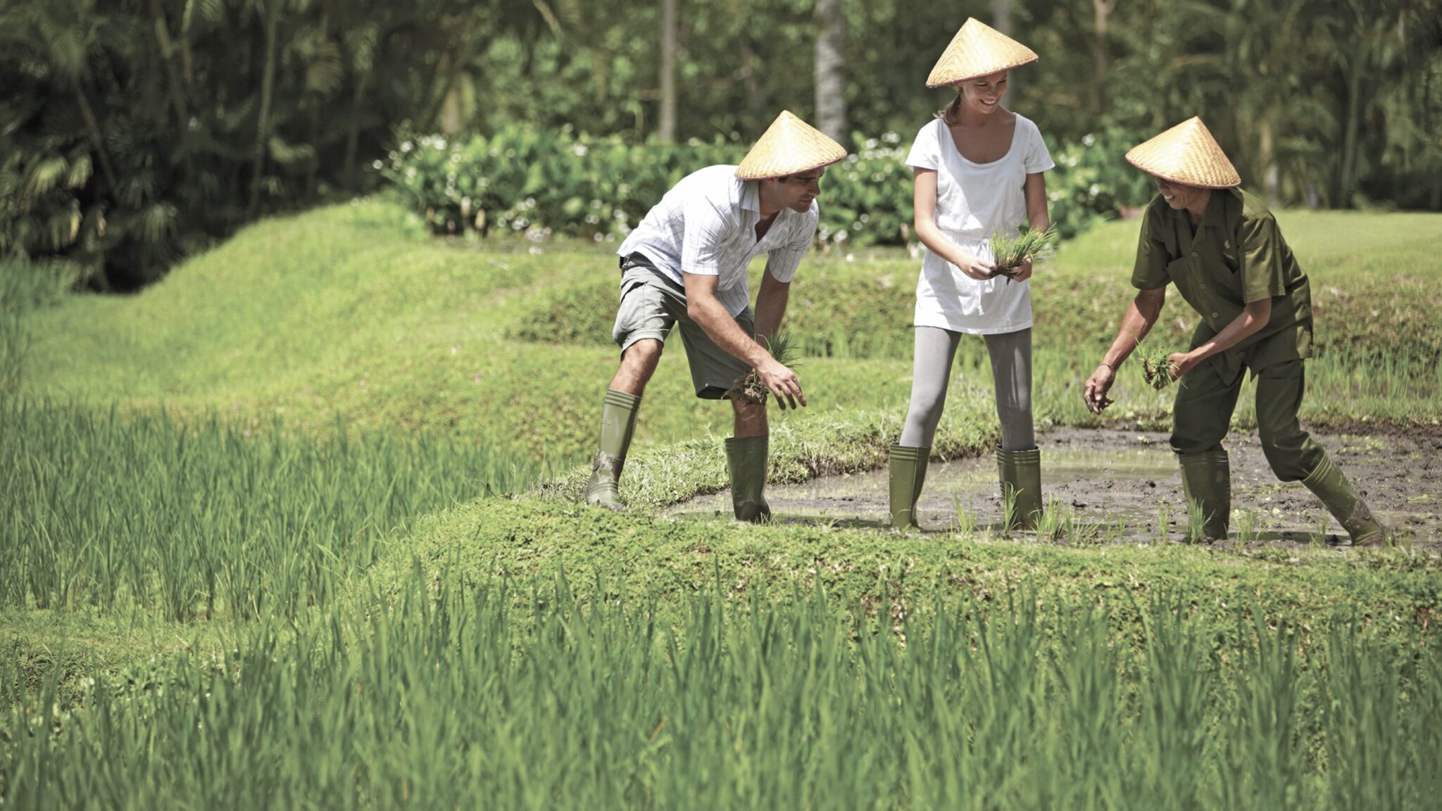 34 Best Rice Terraces, Bali: The Most Beautiful Rice Fields In Bali