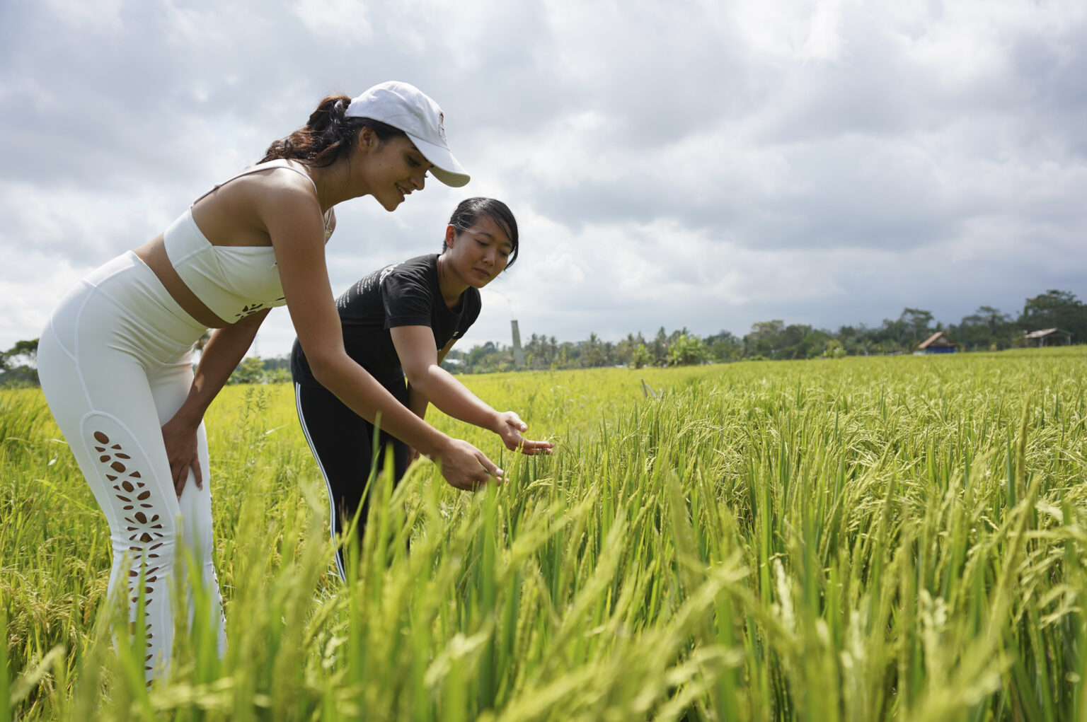 34 Best Rice Terraces, Bali: The Most Beautiful Rice Fields In Bali