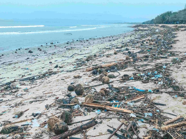 Bali's Plastic Waste Problems: The Unvarnished Truth