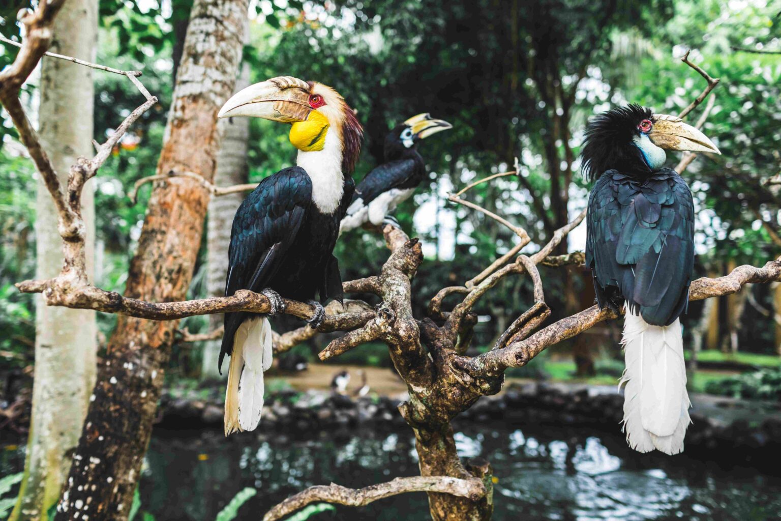 50 Best Things To Do In Bali, Indonesia - The Ultimate Guide