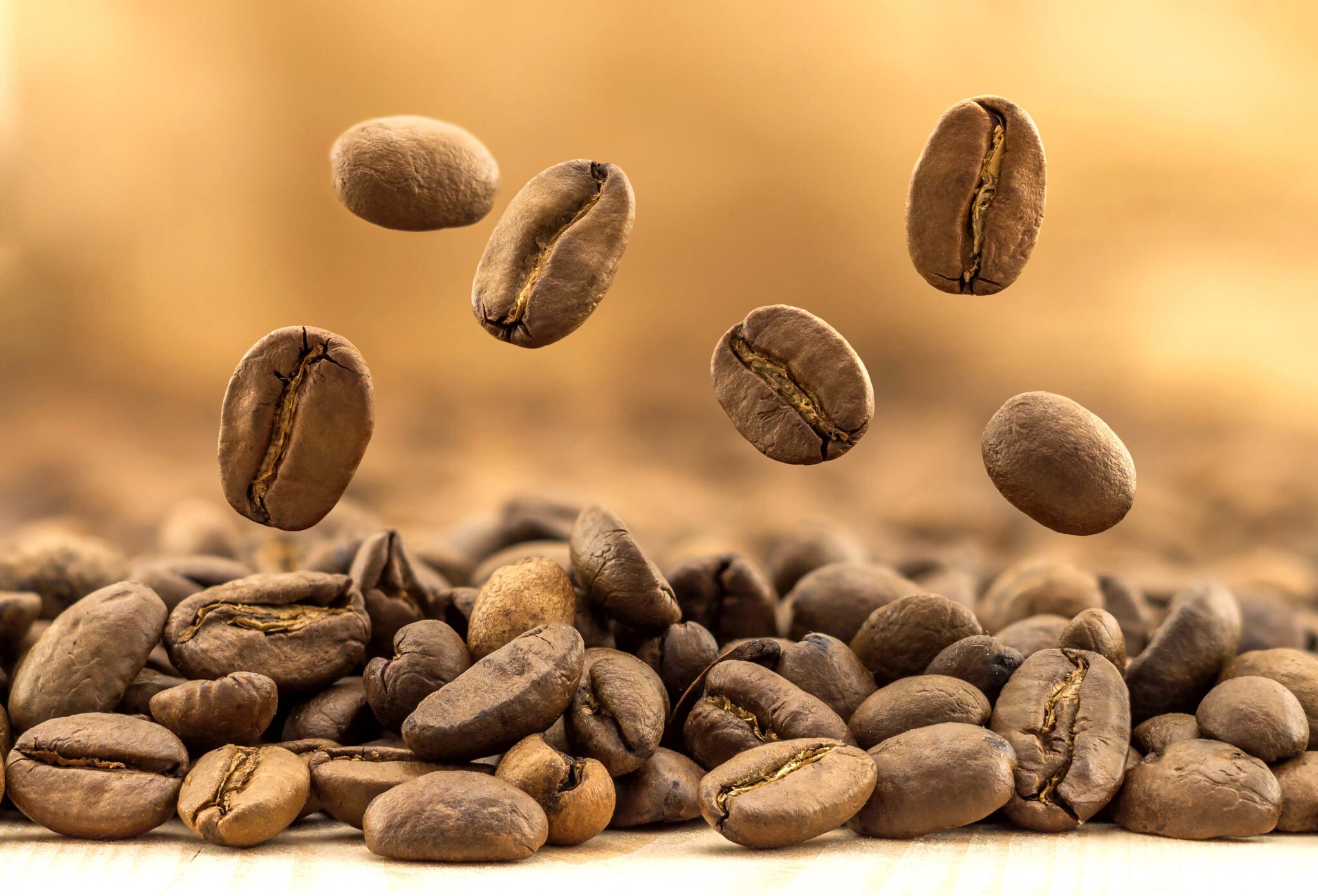 Bali Coffee: Everything You Need To Know To Get The Best Beans