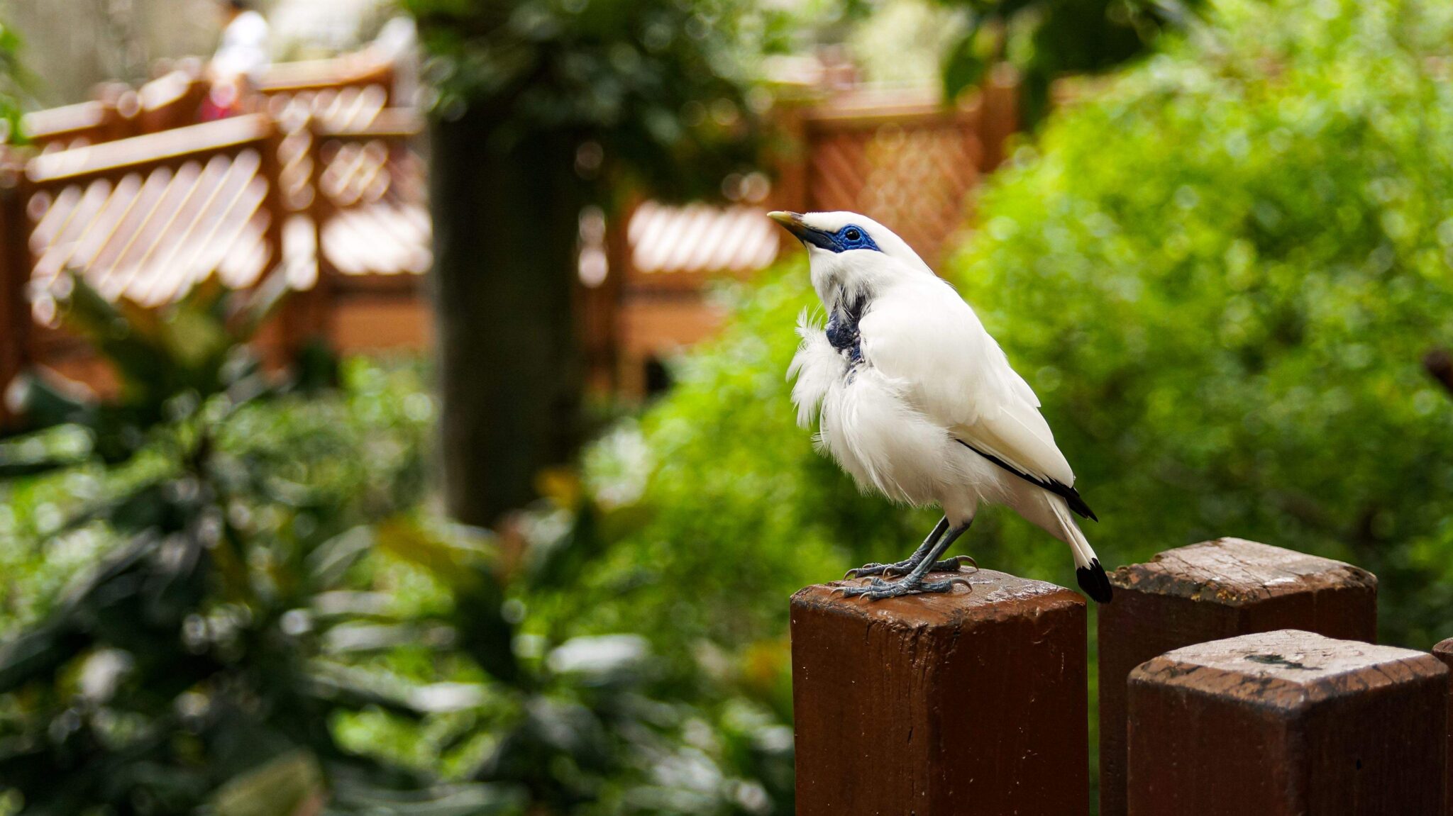 38 Things To Do Ubud: Your Guide To Getting The Most Out Of Bali's ...