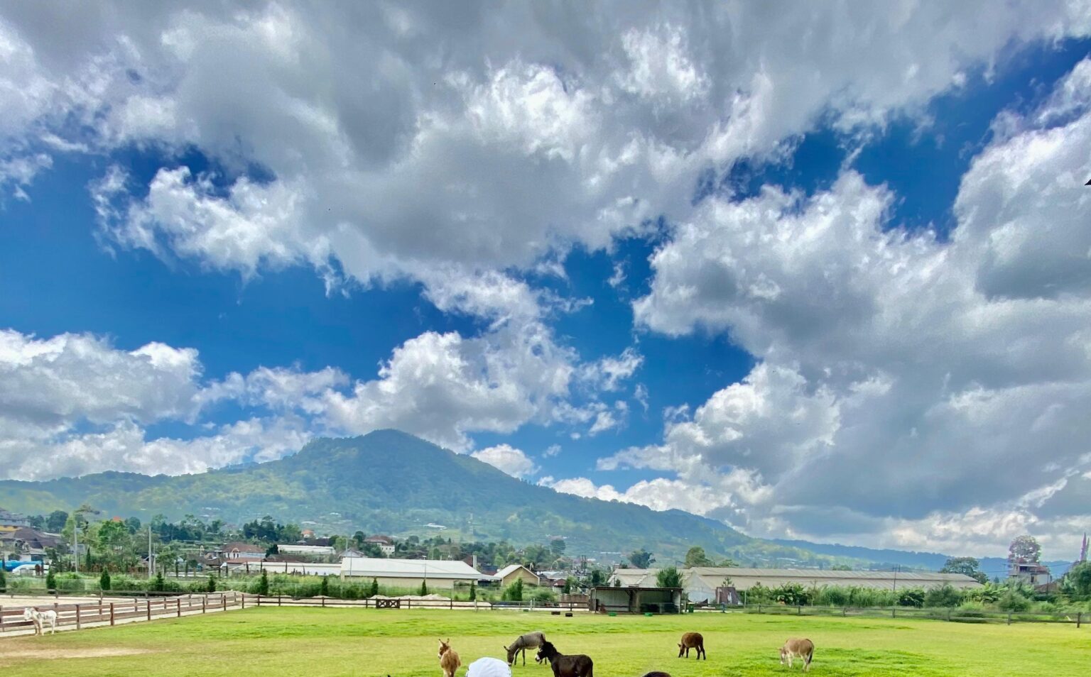 The Ultimate Guide To Bedugul: The Highlands Of North Bali