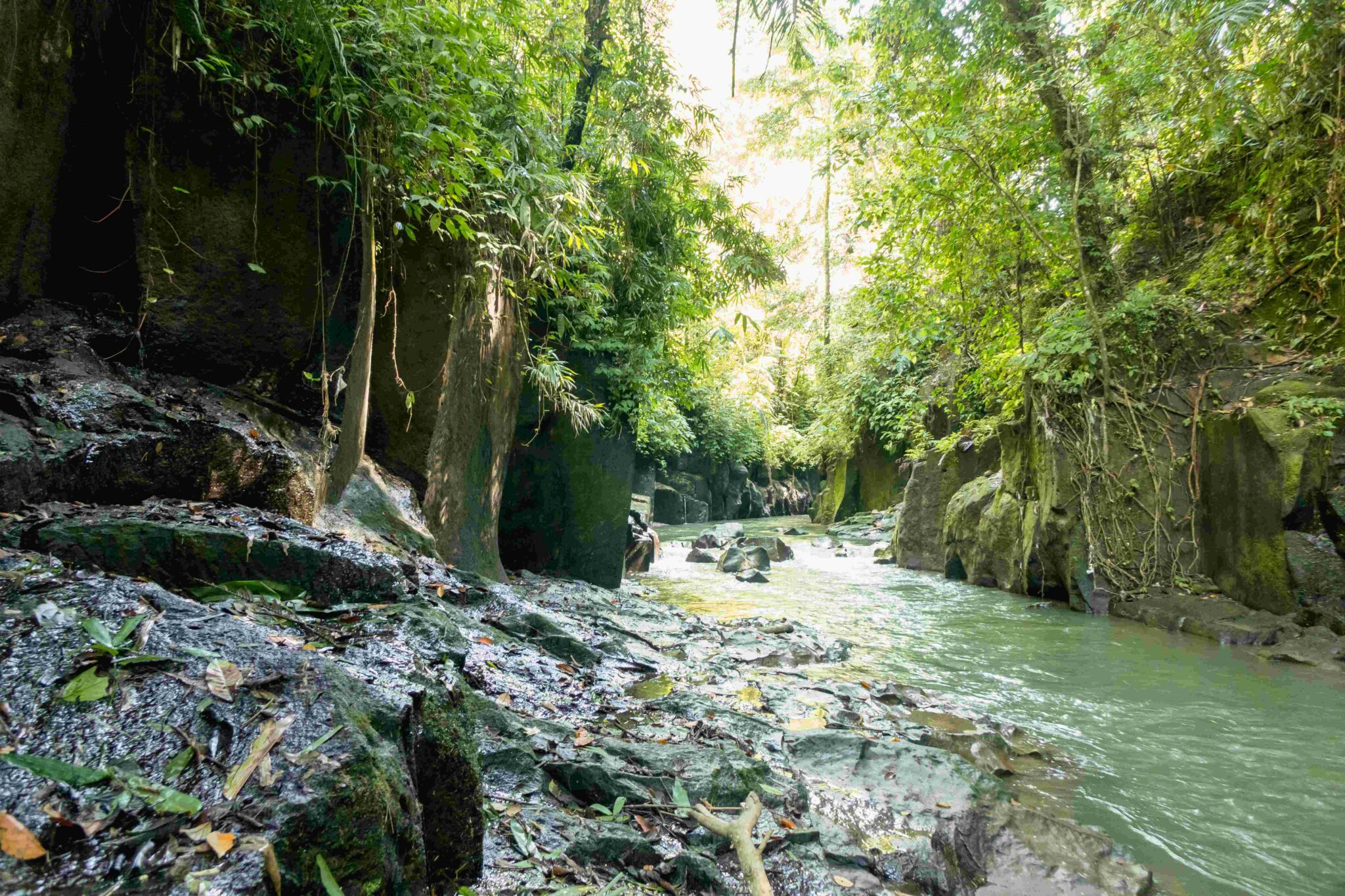 7 Main Rivers In Bali: Water Reserves And Rafting Experiences