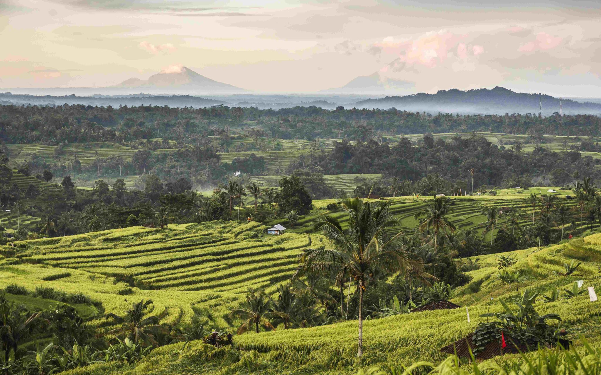 Bali Or Koh Samui: Tropical Islands, Same Same But Different?