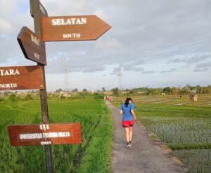 Full Guide To Jogging In Bali: 17 Best Routes & Run Clubs - FINNS Beach ...